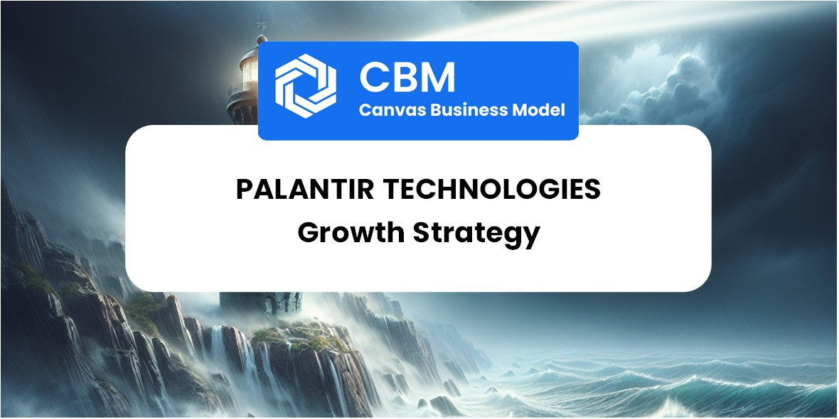 Growth Strategy and Future Prospects of Palantir Technologies – CBM Growth Strategy and Future Prospects of Palantir Technologies – CBM
