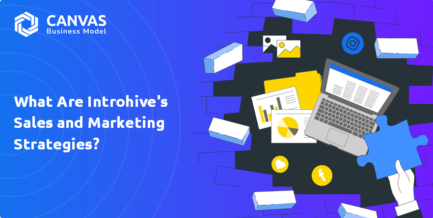 What is Sales and Marketing Strategy of Introhive Company ...