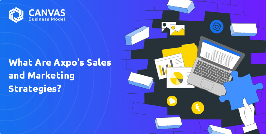 What is Sales and Marketing Strategy of Axpo Company ...