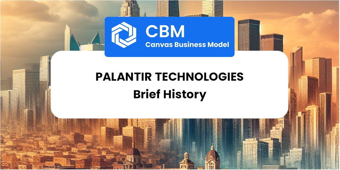 A Brief History of Palantir Technologies – CANVAS, SWOT, PESTEL & BCG ... A Brief History of Palantir Technologies – CANVAS, SWOT, PESTEL & BCG ...