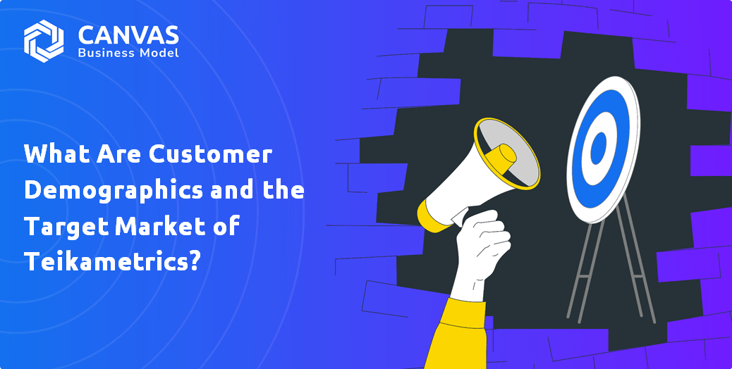 What is Customer Demographics and Target Market of Teikametrics Company ...