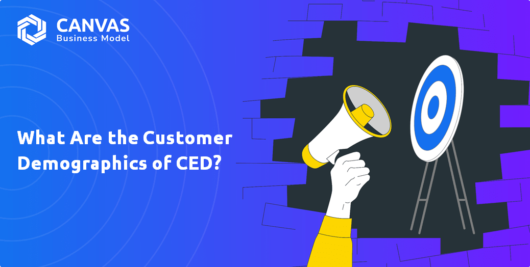 What is Customer Demographics and Target Market of Consolidated Elec ...