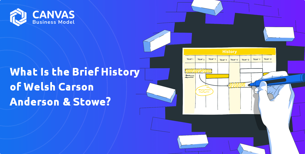 What is Brief History of Welsh Carson Anderson & Stowe Company ...