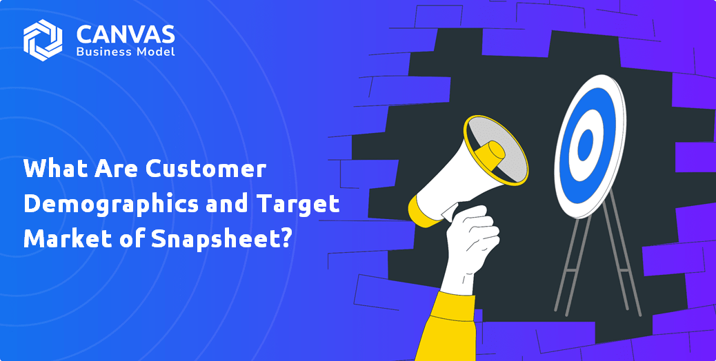 What is Customer Demographics and Target Market of Snapsheet Company ...