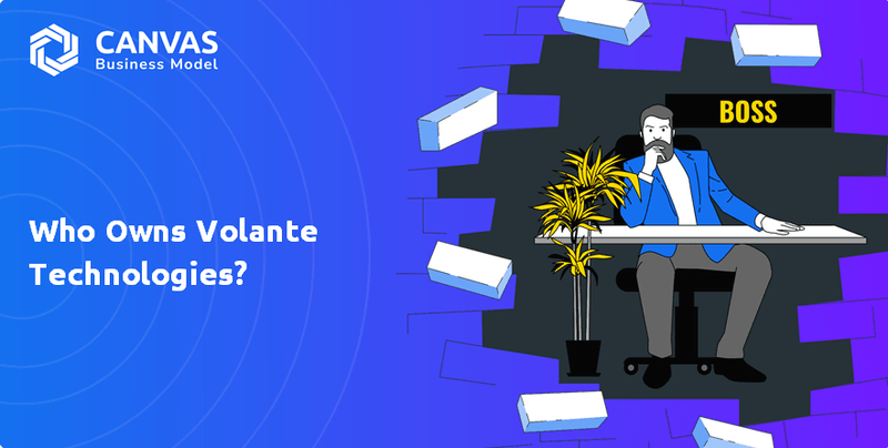 Who Owns Volante Technologies Company? – CanvasBusinessModel.com
