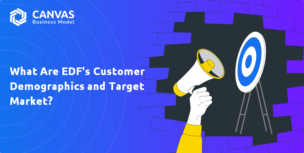 What is Customer Demographics and Target Market of EDF Company ...