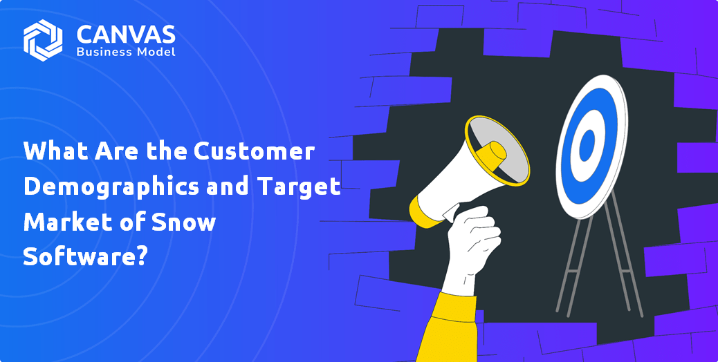 What is Customer Demographics and Target Market of Snow Software ...