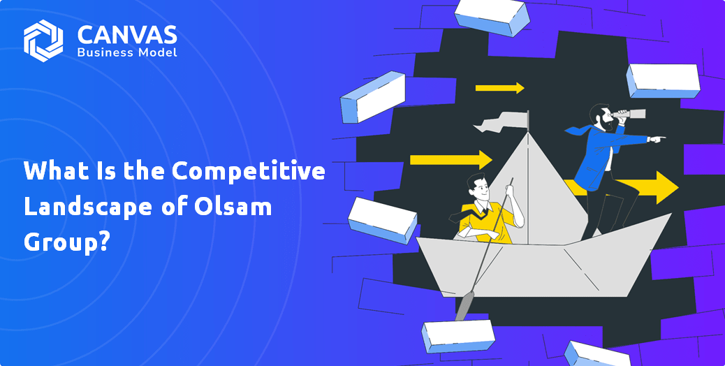 What is Competitive Landscape of Olsam Group Company ...