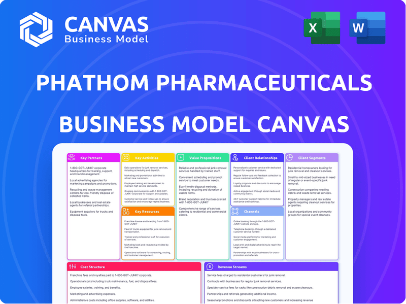 Phathom Pharmaceuticals: Business Model Canvas – CanvasBusinessModel.com