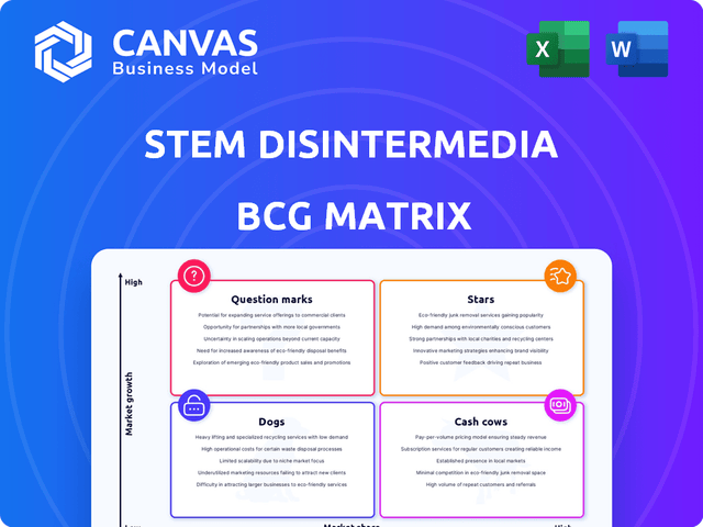 STEM DISINTERMEDIA BCG MATRIX – CBM