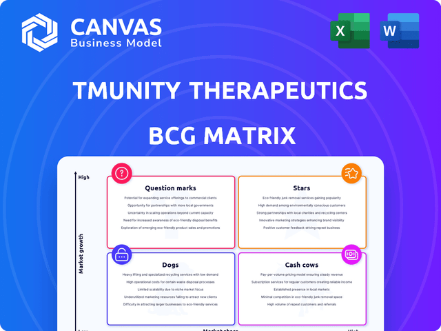 Tmunity BCG Matrix Template – CanvasBusinessModel.com